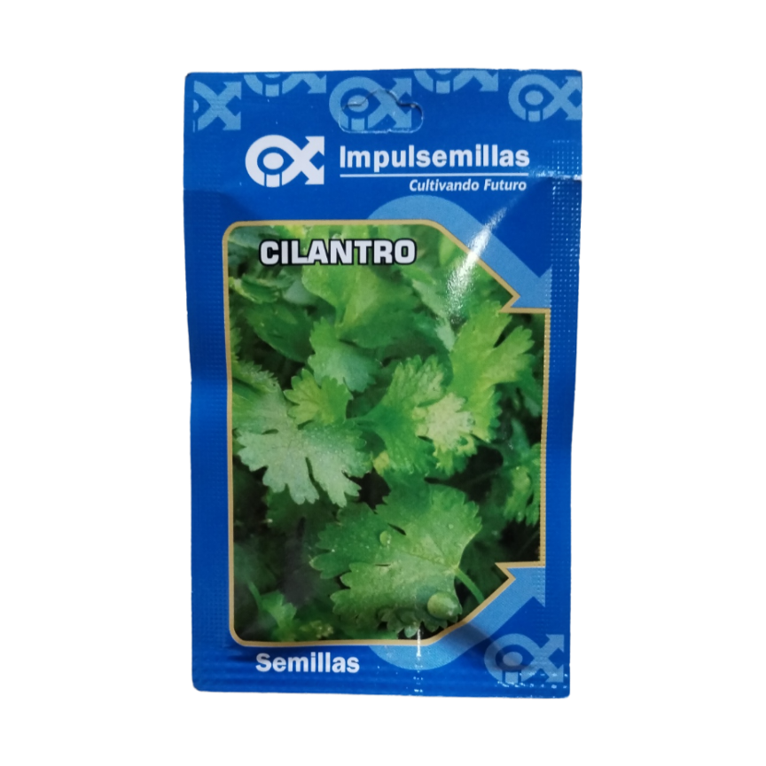 CILANTRO LONG STANDING – AGROTODO